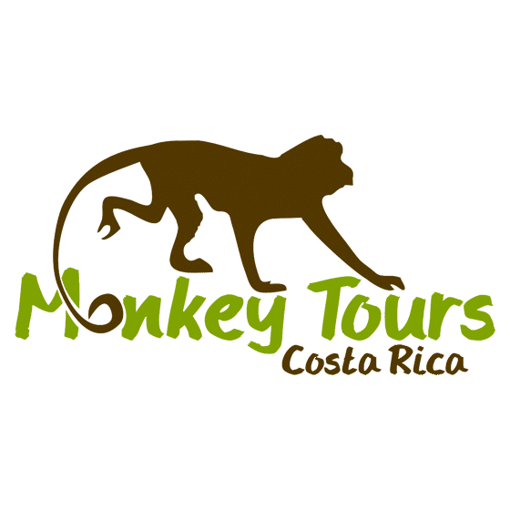 Three-toed Sloths of Costa Rica